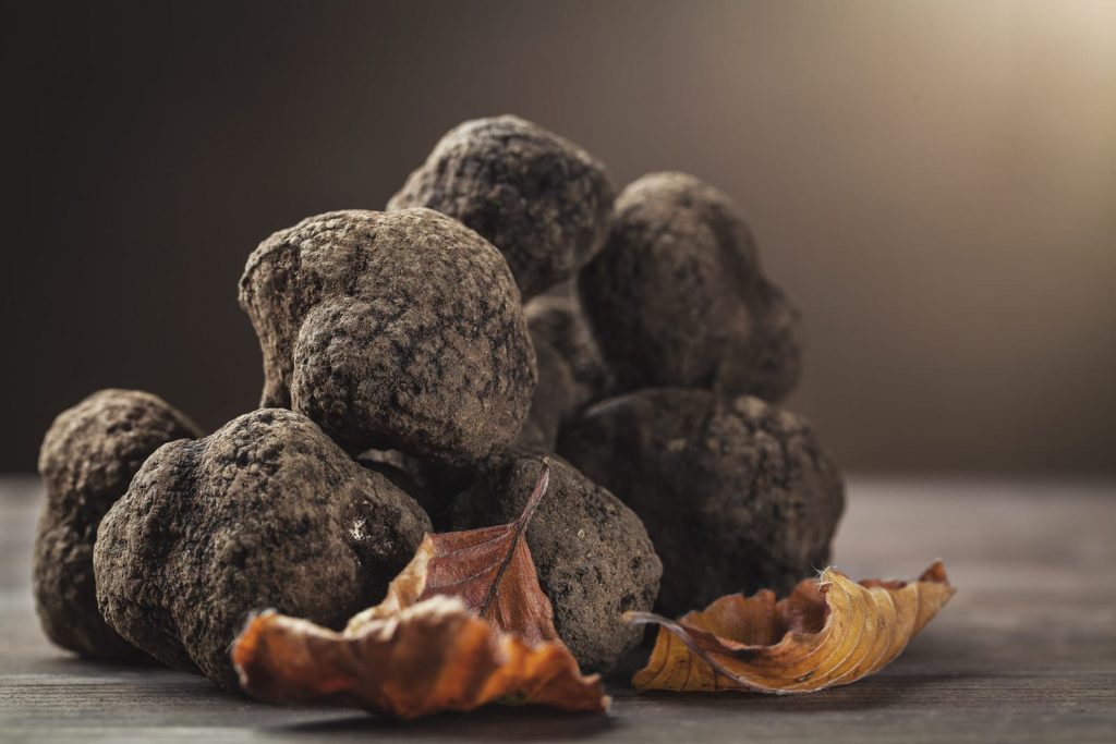 What is truffle | How to choose the right truffle in each season