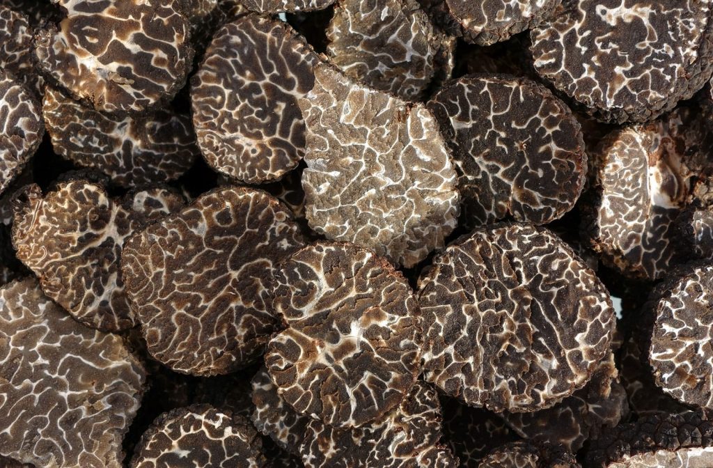 What is truffle | How to choose the right truffle in each season